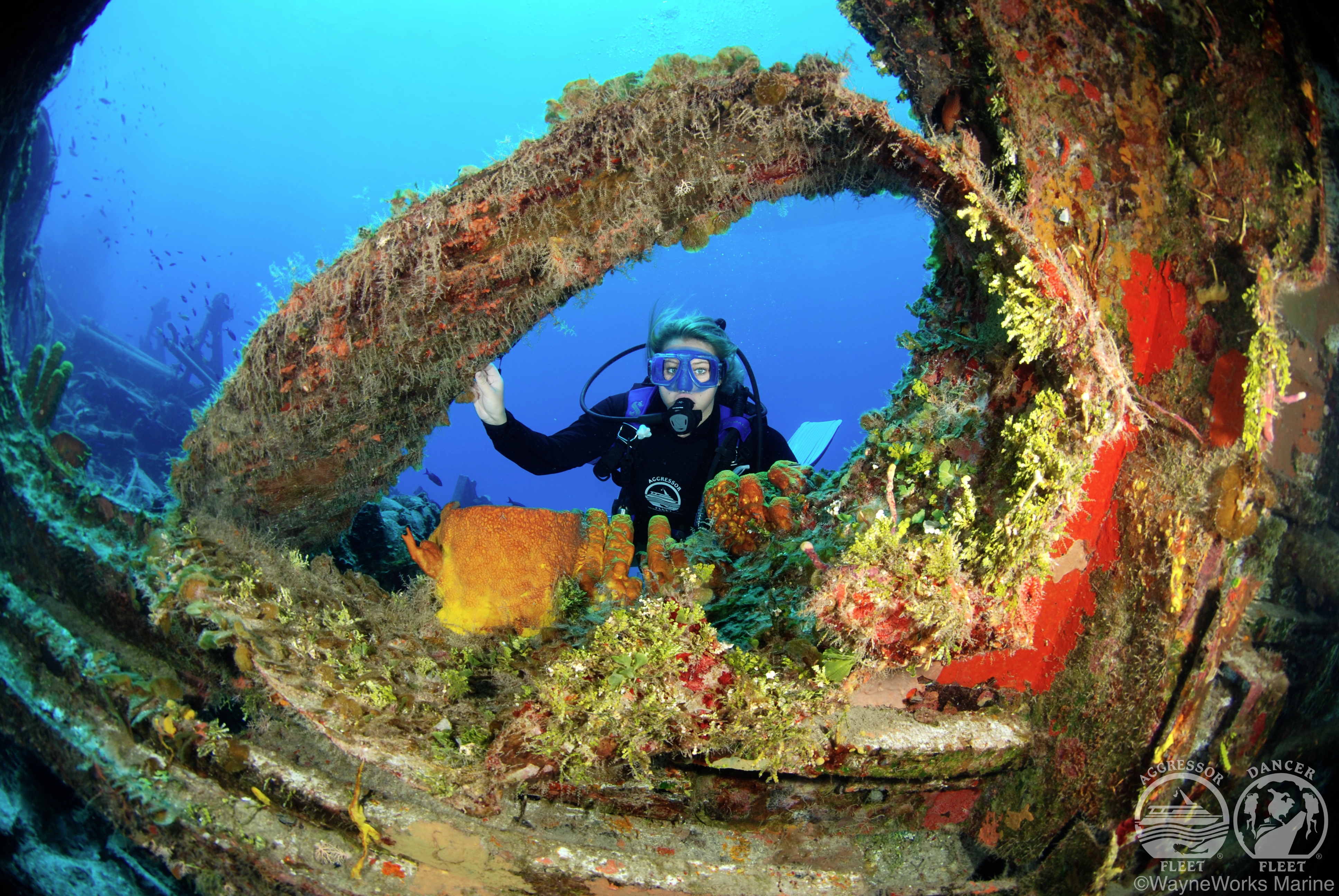 Hermes Travel - tūrisma aģentūra